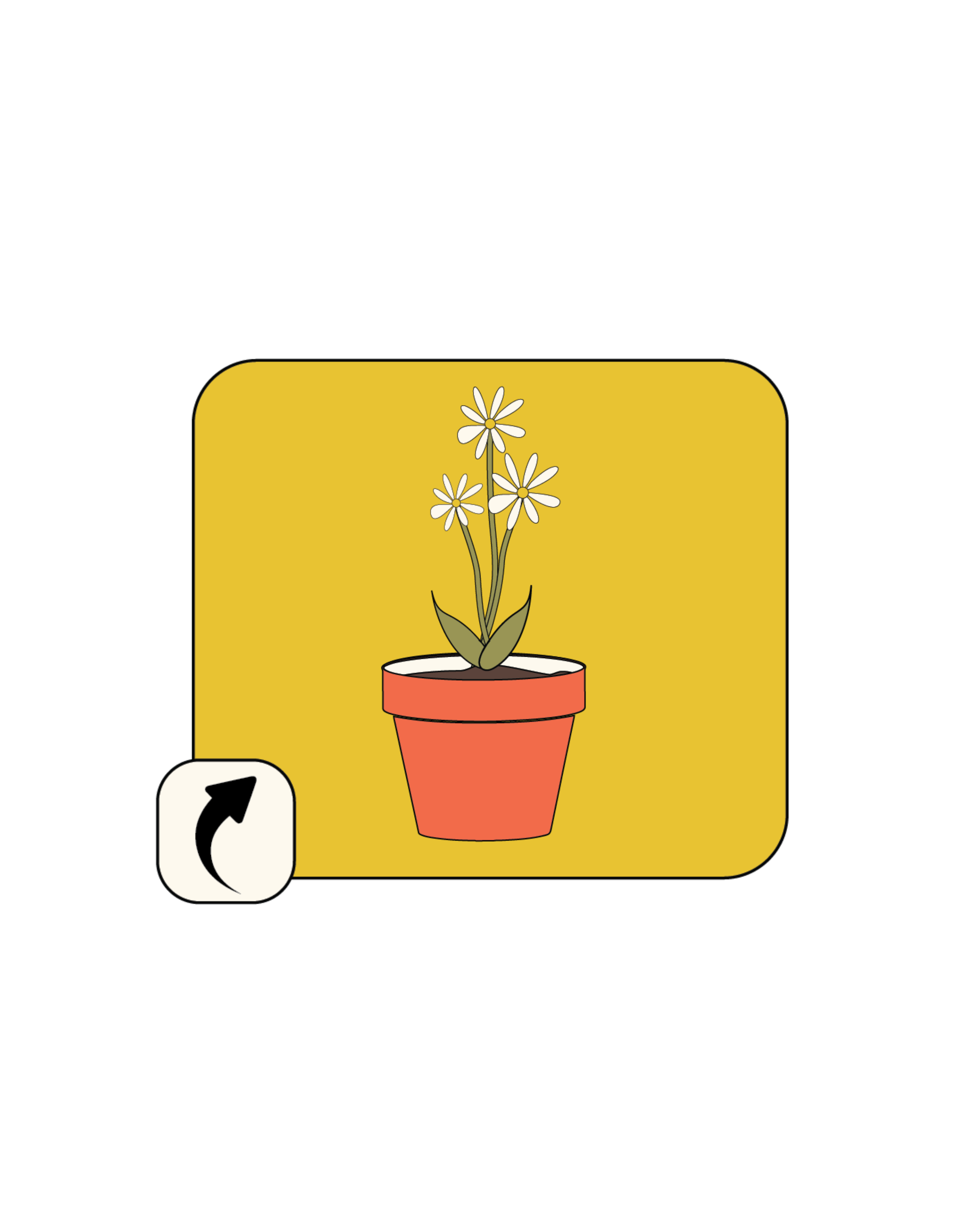 Bloom Growth Pack – Bloom Collective